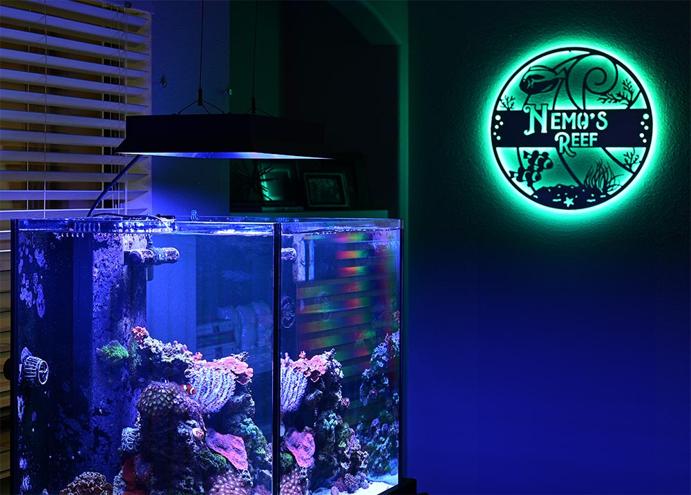 Dream Lights LED Light Kit – aquaticdreams